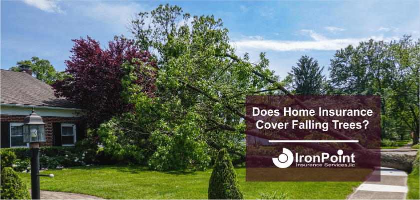 Falling Trees: Does Home Insurance Cover Falling Tree Damage?